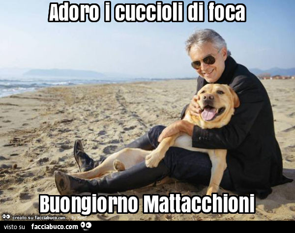 Tutti i meme su Andrea Bocelli - Facciabuco.com