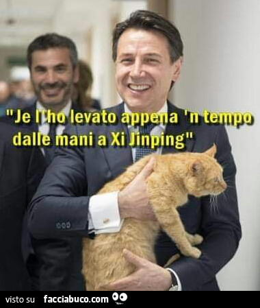 Tutti i meme su Giuseppe Conte - Facciabuco.com