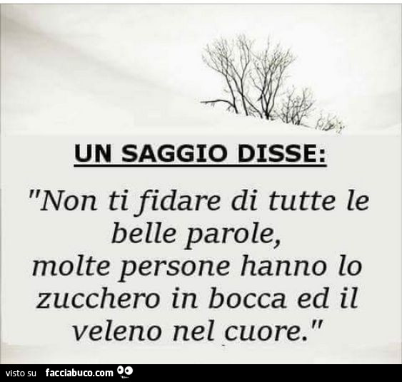 Tutti i meme su Dice il saggio - Facciabuco.com