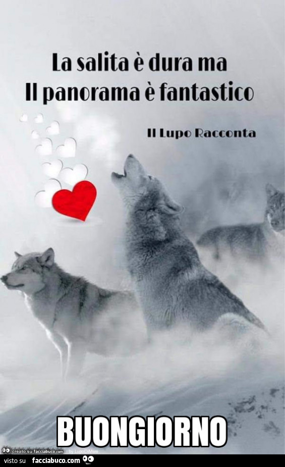 Tutti i meme sui Lupi - Facciabuco.com